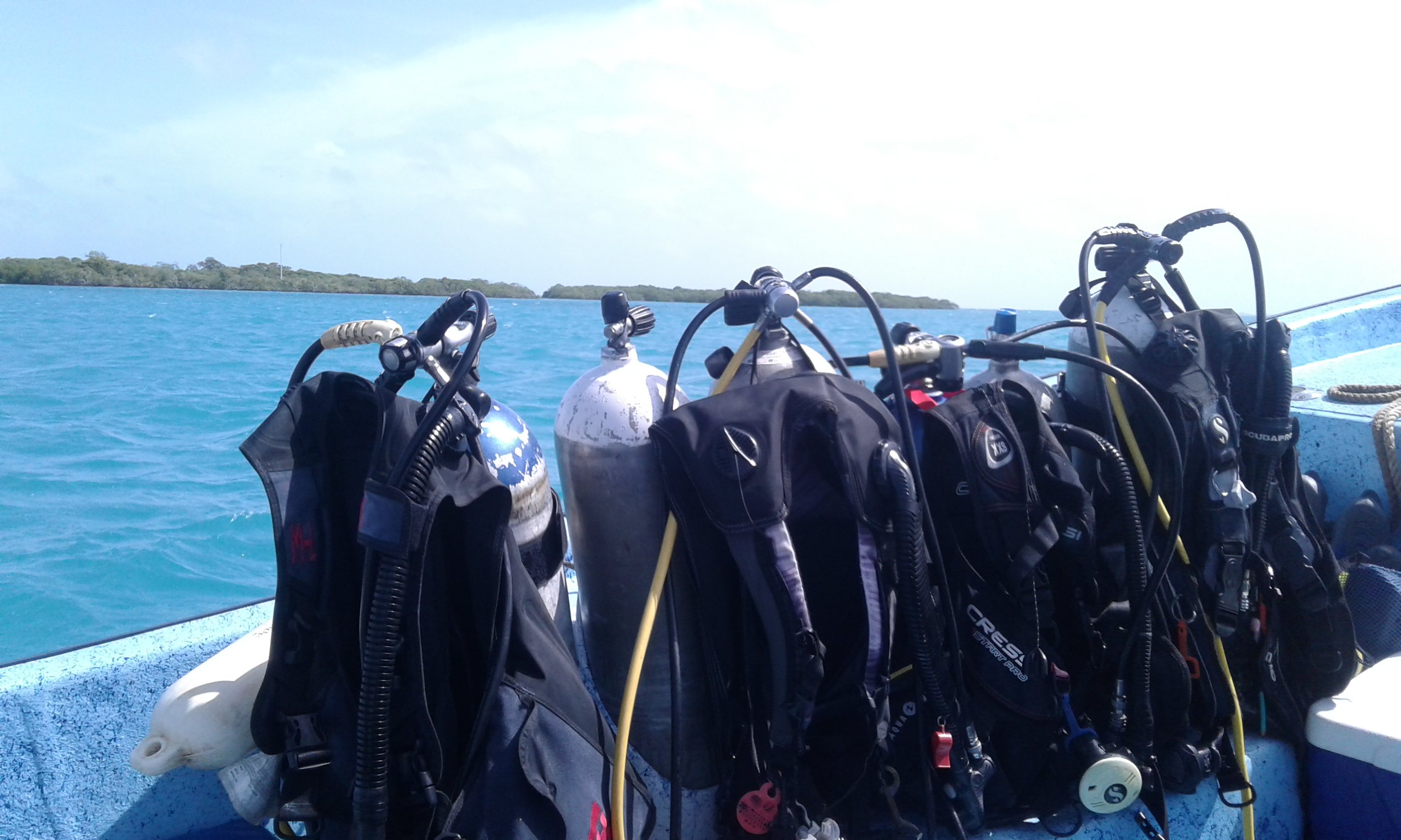 Tank Racks – Dive with Locally Owned and Operated Dive Shop in Hopkins ...
